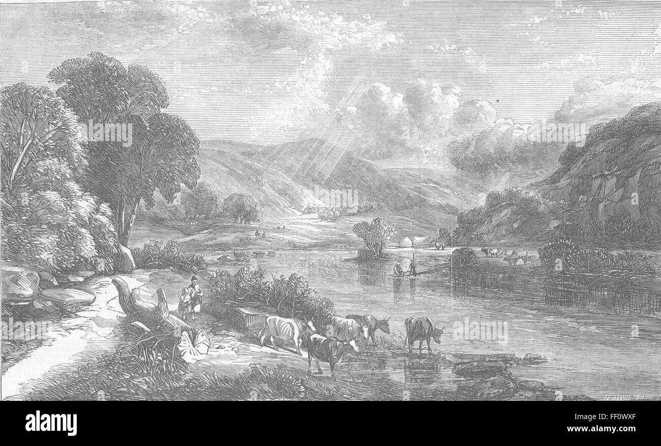 FRANCE Toke of Draught Oxen, Moselle 1853. Illustrated London News ...