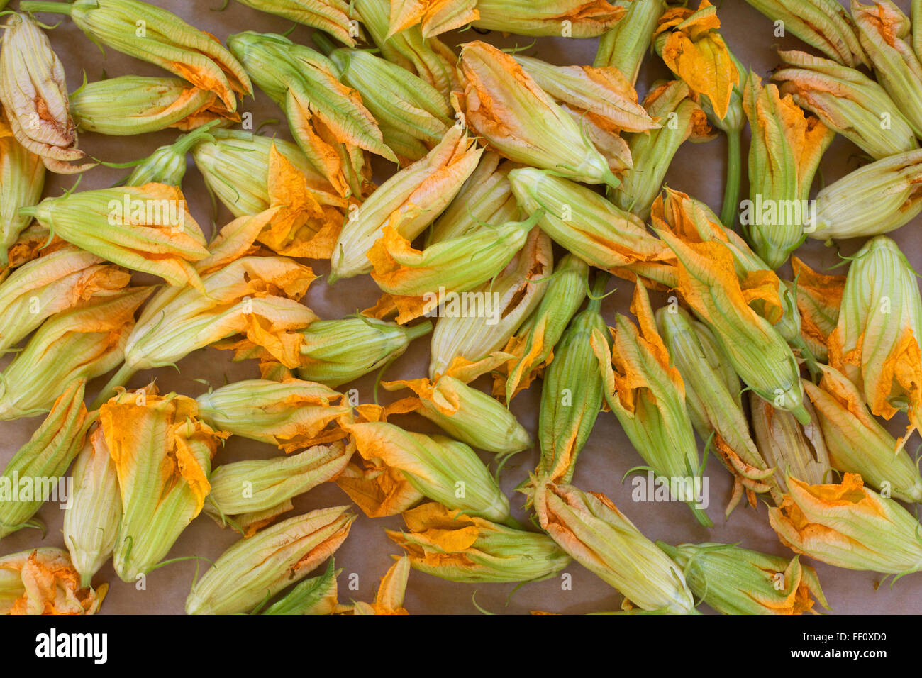Top down view of squash blossoms scattered across a surface Stock Photo ...