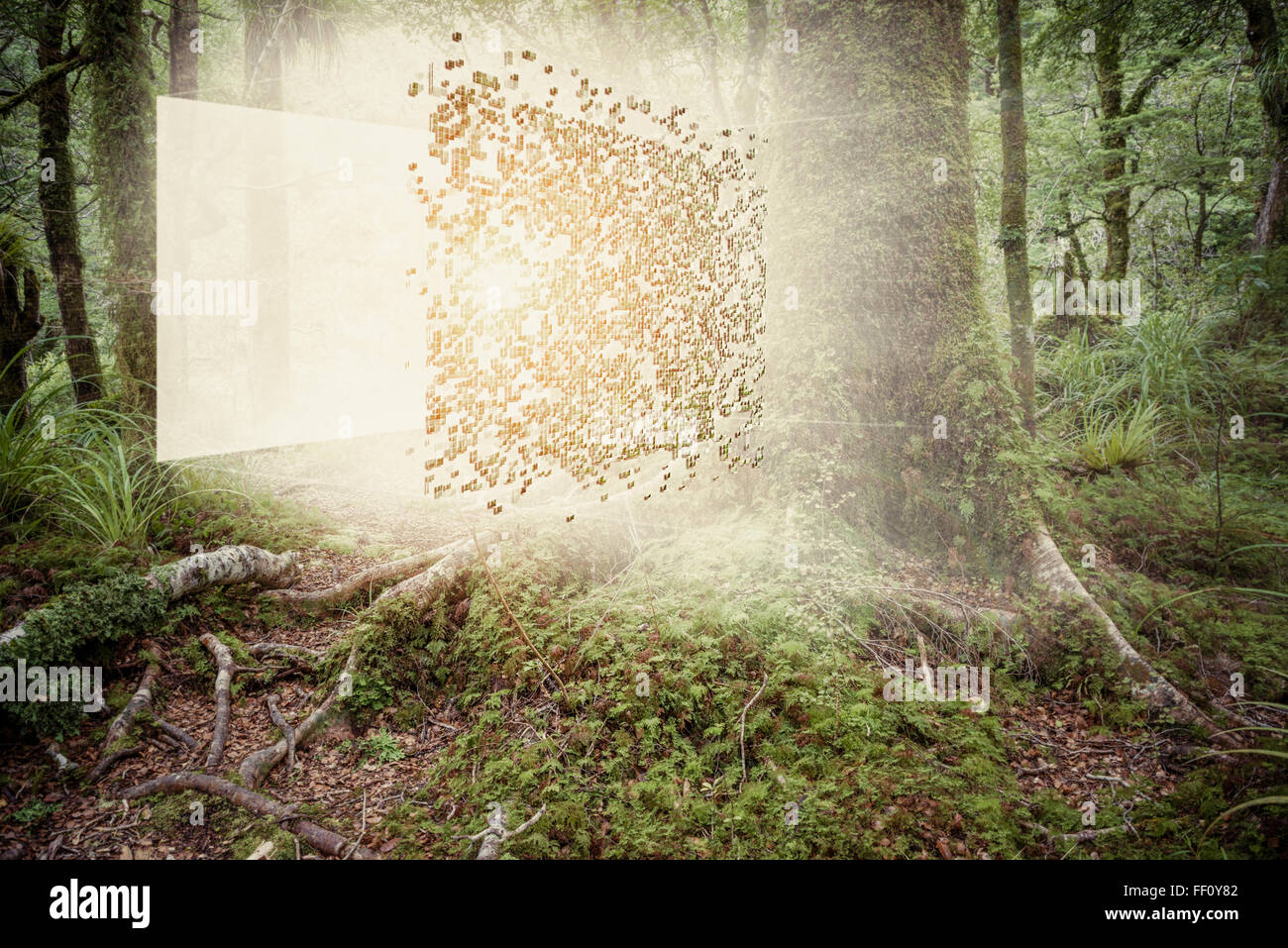 Digital cube exploding in forest Stock Photo - Alamy