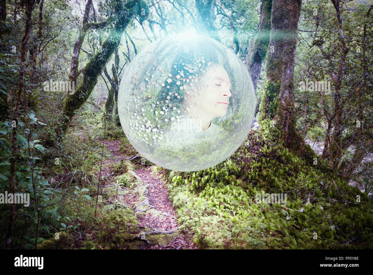 Caucasian man in glowing orb in forest Stock Photo - Alamy