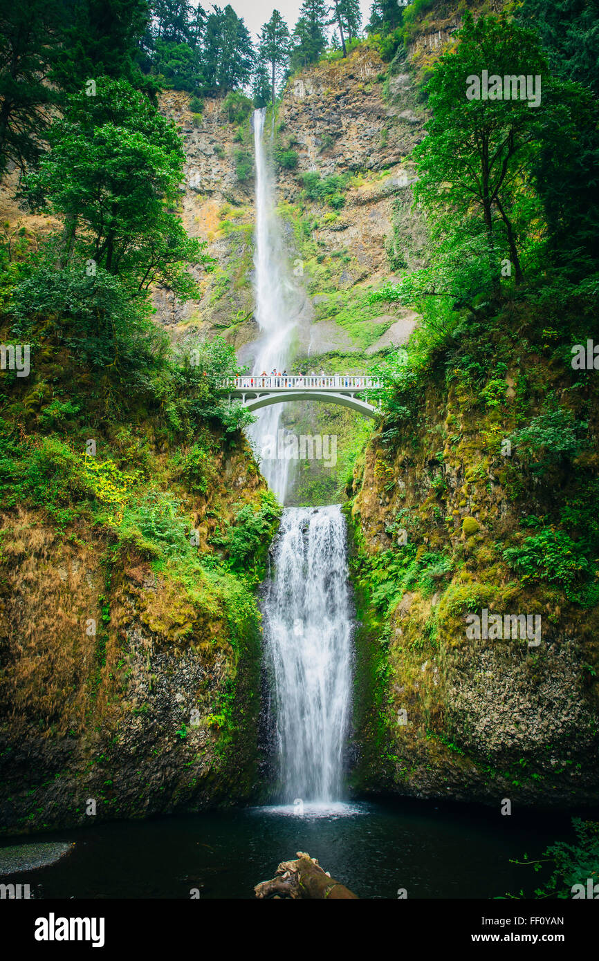 Multnomah Falls and bridge, Portland, Oregon, United States Stock Photo ...