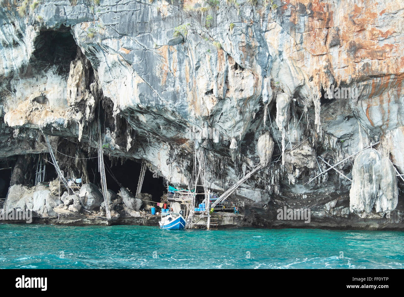 Cave fish thailand hi-res stock photography and images - Alamy