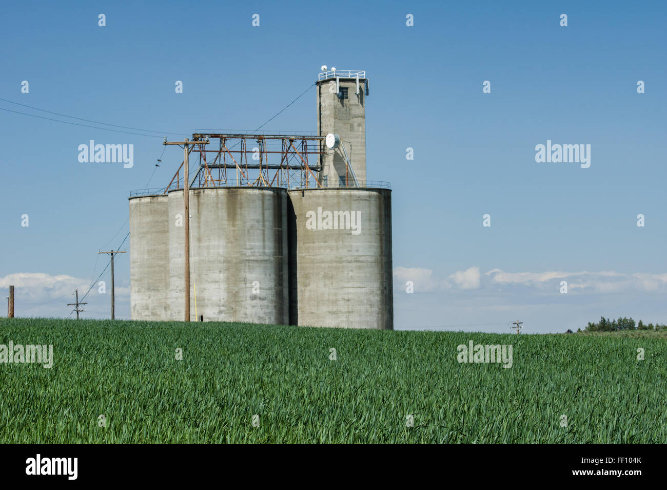 Agricultural grain storage facility. Grass Valley, Oregon Stock Photo ...