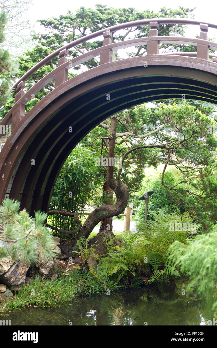 Japanese Garden Bridge Stock Photos & Japanese Garden Bridge Stock ...