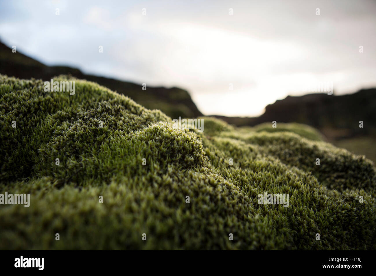 Close up landscape photography hi-res stock photography and images - Alamy