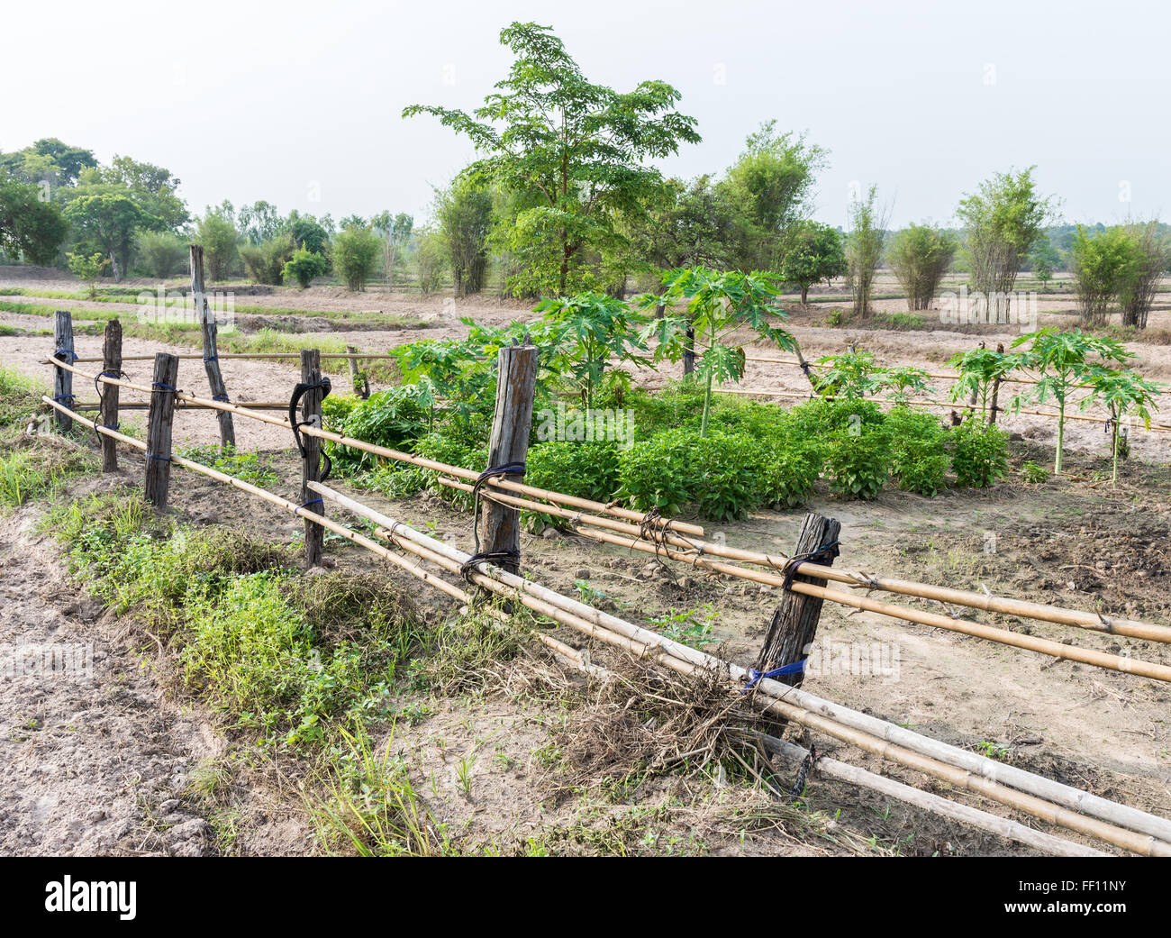 Bio fence hi-res stock photography and images - Alamy