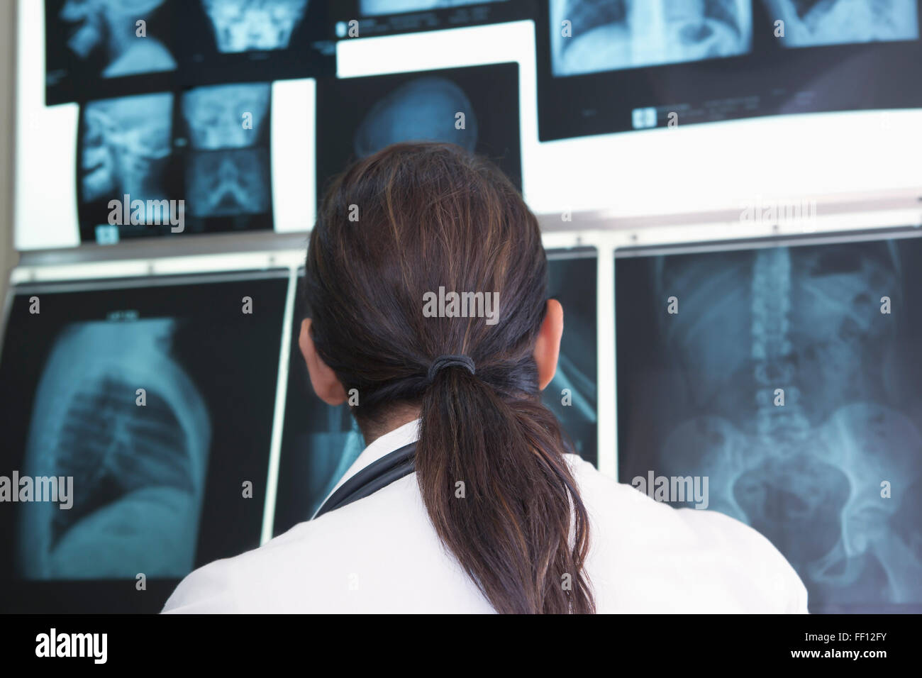 Hispanic doctor examining x-rays in hospital Stock Photo - Alamy