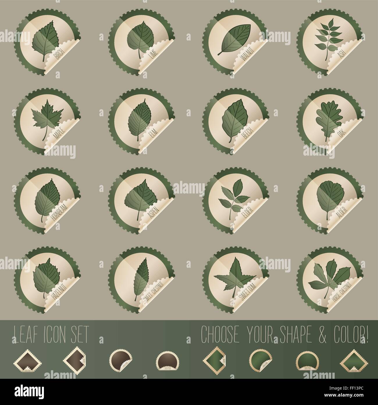 Oak tree in deciduous Stock Vector Images - Alamy