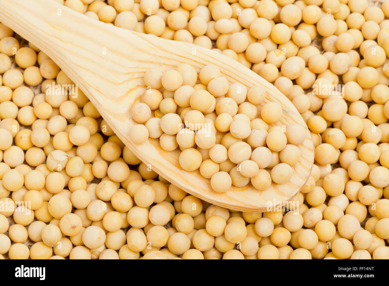 Dried soybeans on wooden spoon on top of soybeans Stock Photo - Alamy