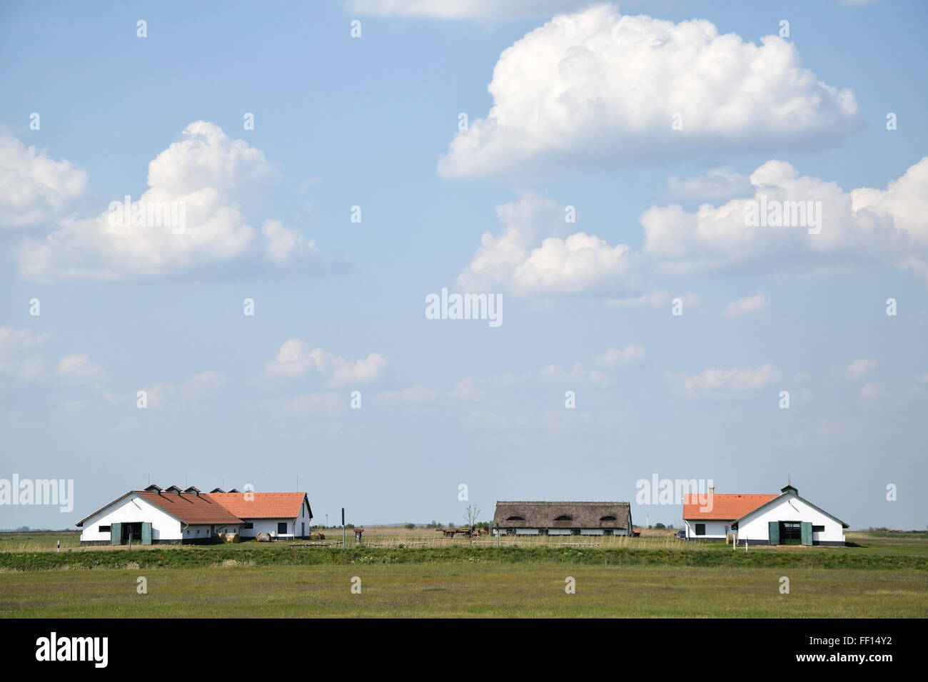 Hungary farm hi-res stock photography and images - Alamy