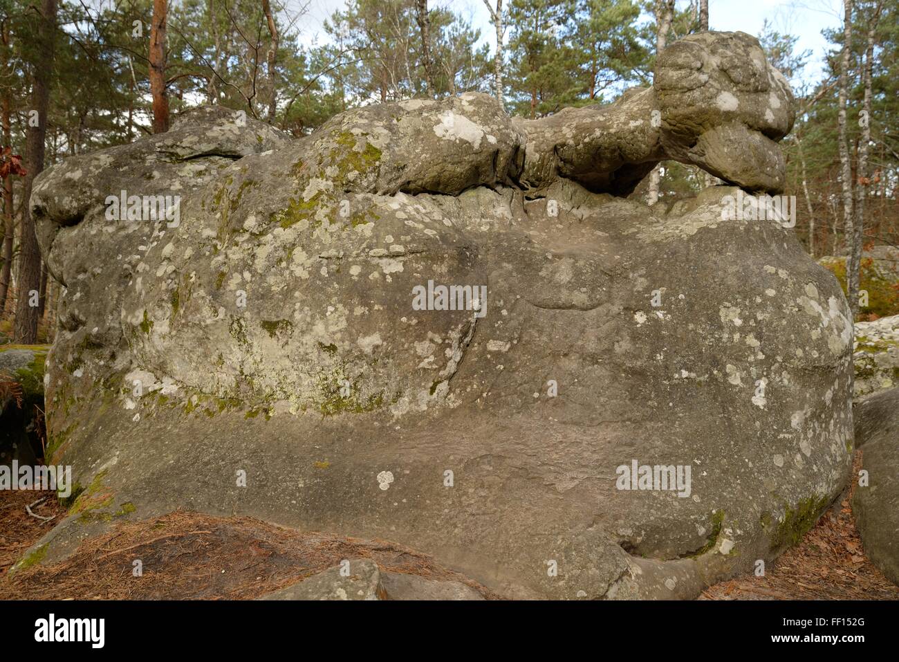 Fontainebleau boulders hi-res stock photography and images - Alamy