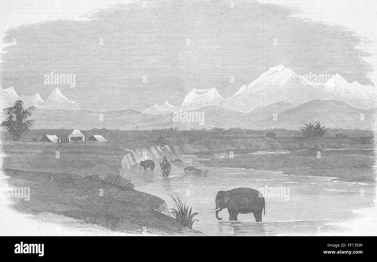 Duar war hi-res stock photography and images - Alamy