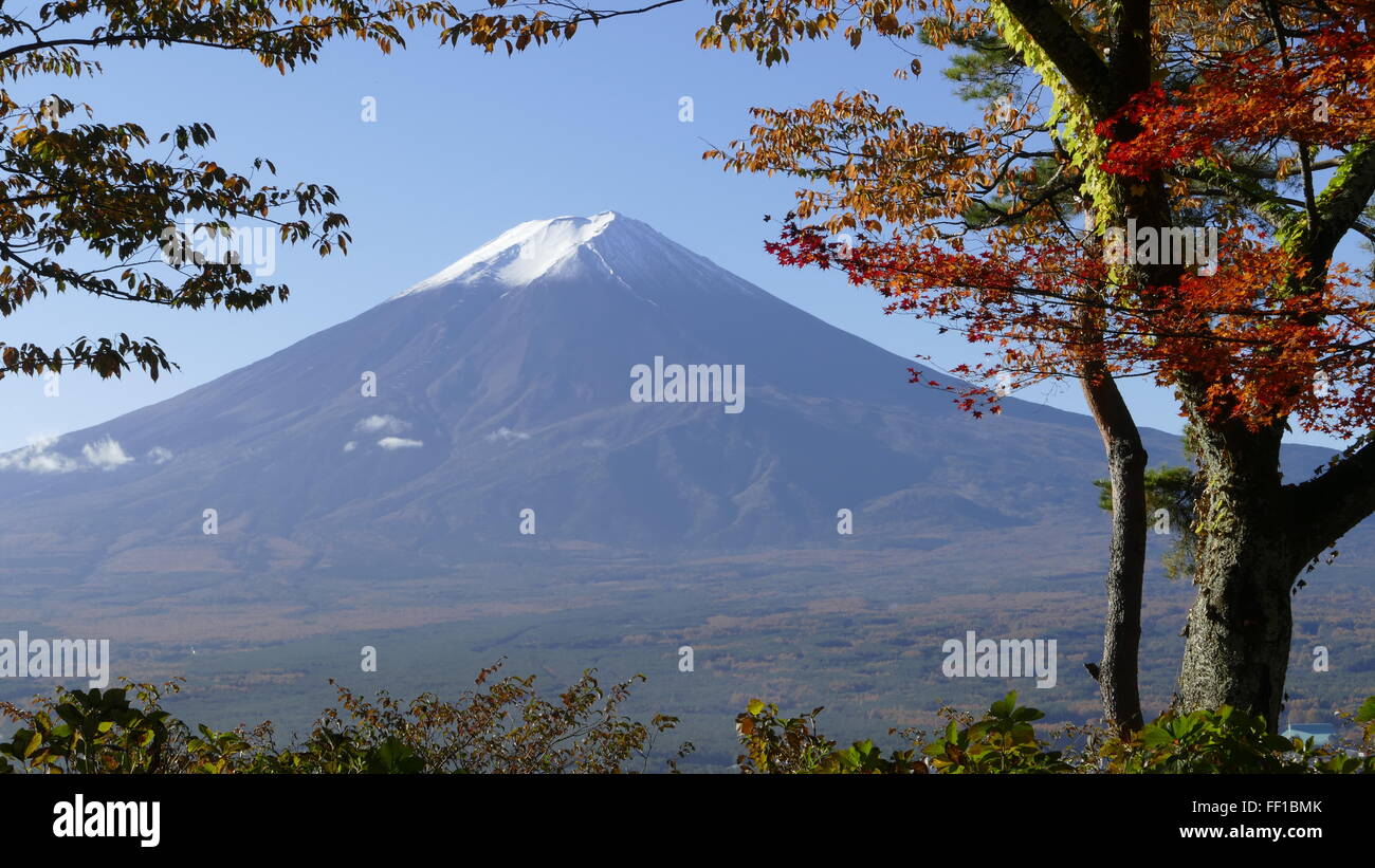 The fall season of Fuji mountain Stock Photo - Alamy
