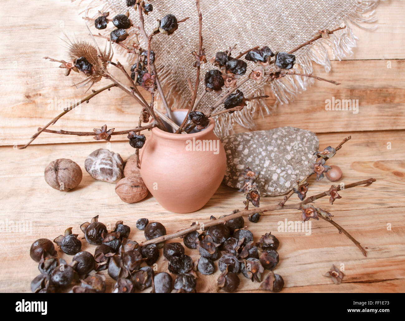 Berries are small wild persimmon and broken branches in a clay pot ...