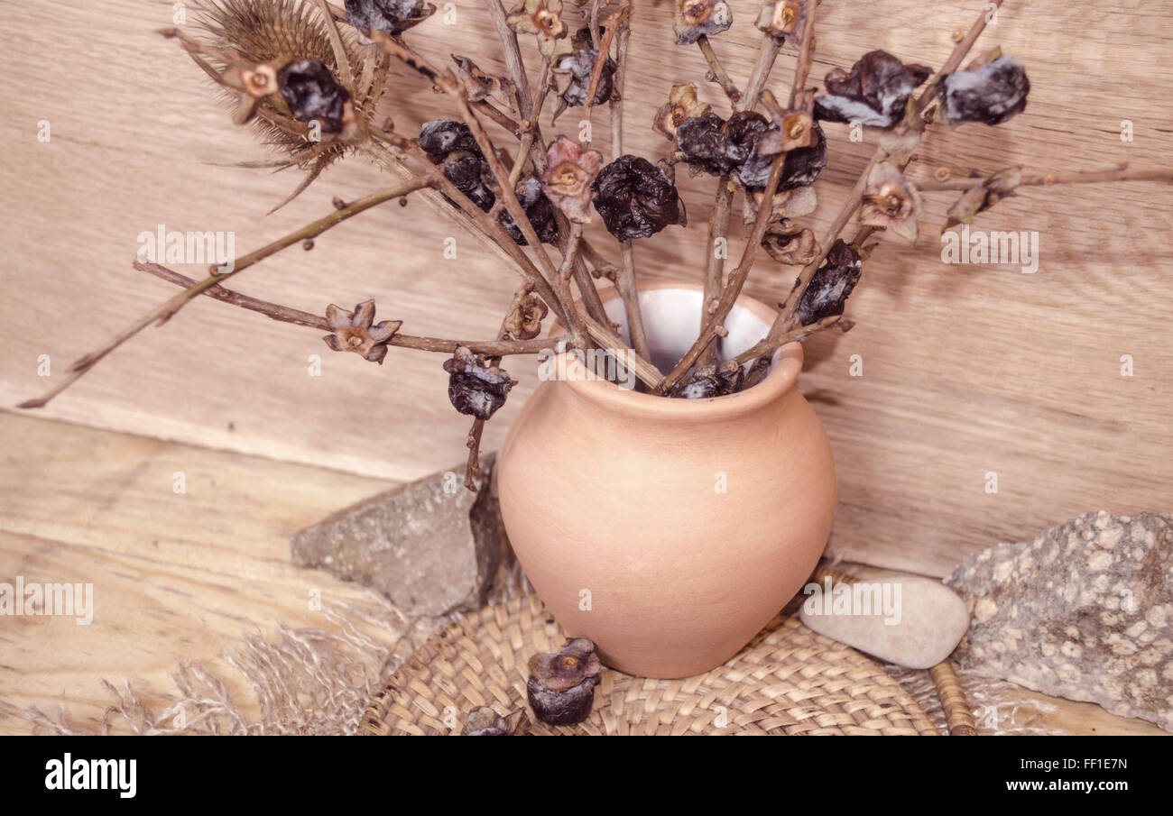 Wild persimmon hi-res stock photography and images - Alamy