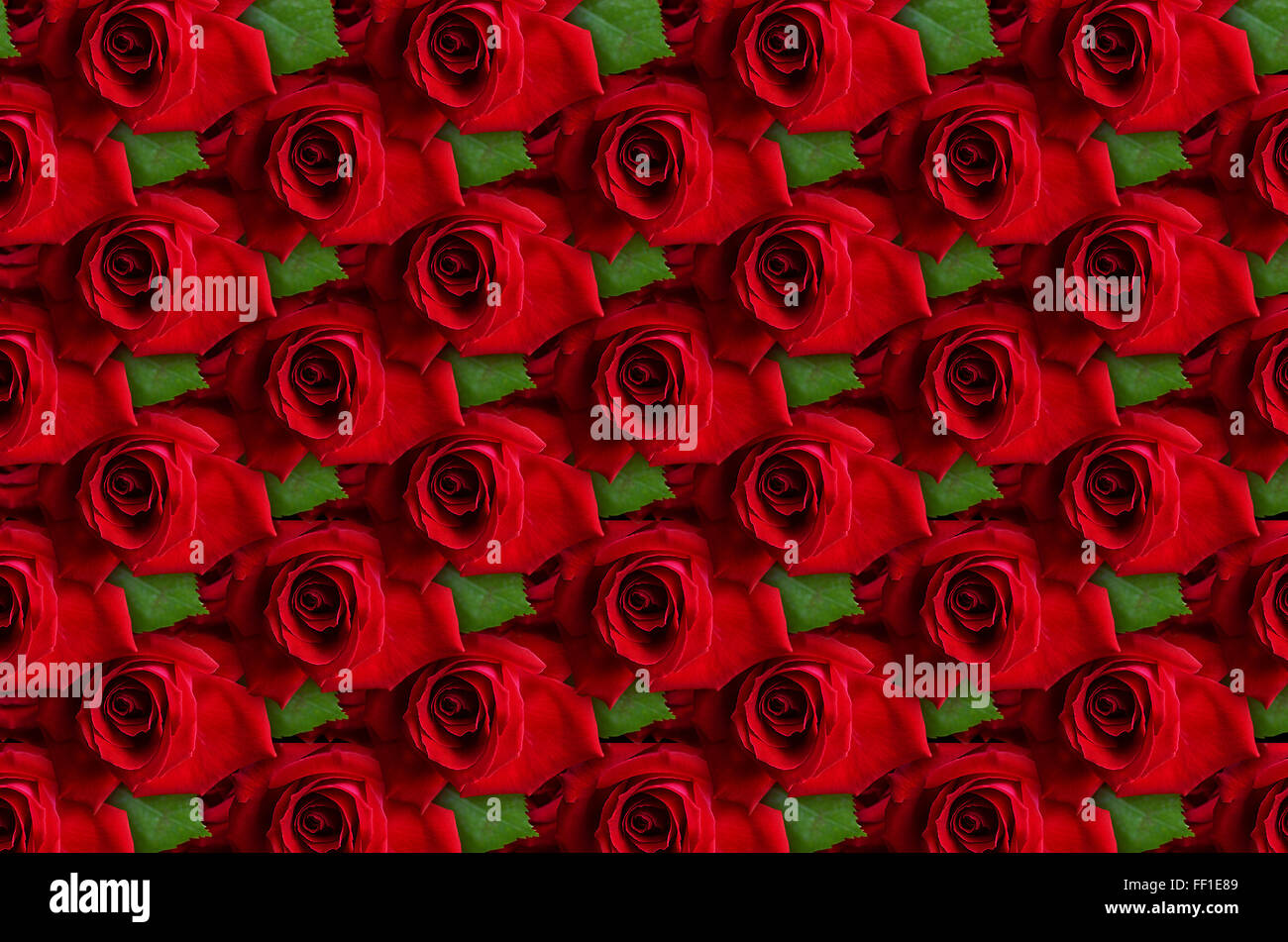 Background of red roses with leaf lying closely beside Stock Photo - Alamy