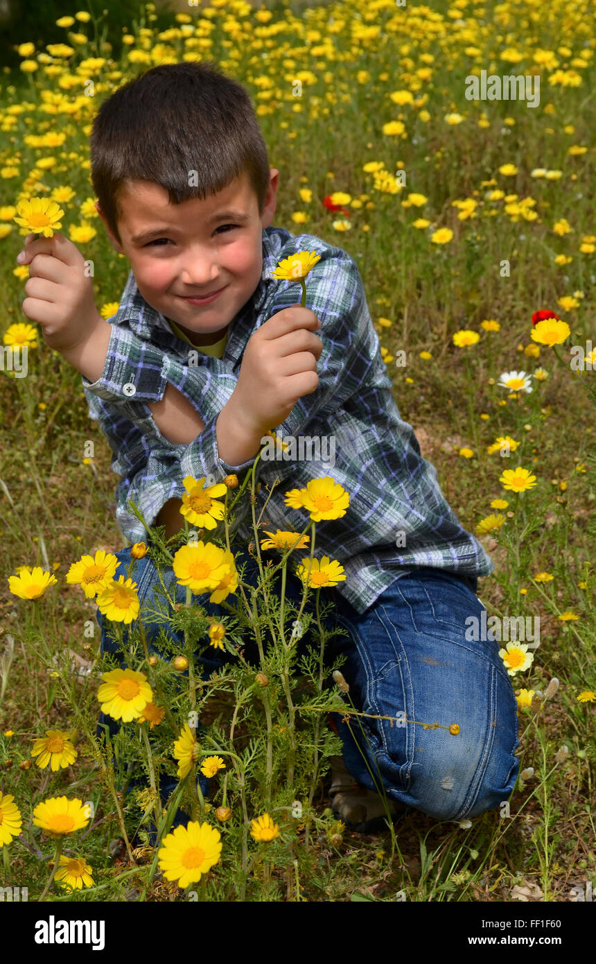 Boy in spring nature field Stock Photo - Alamy