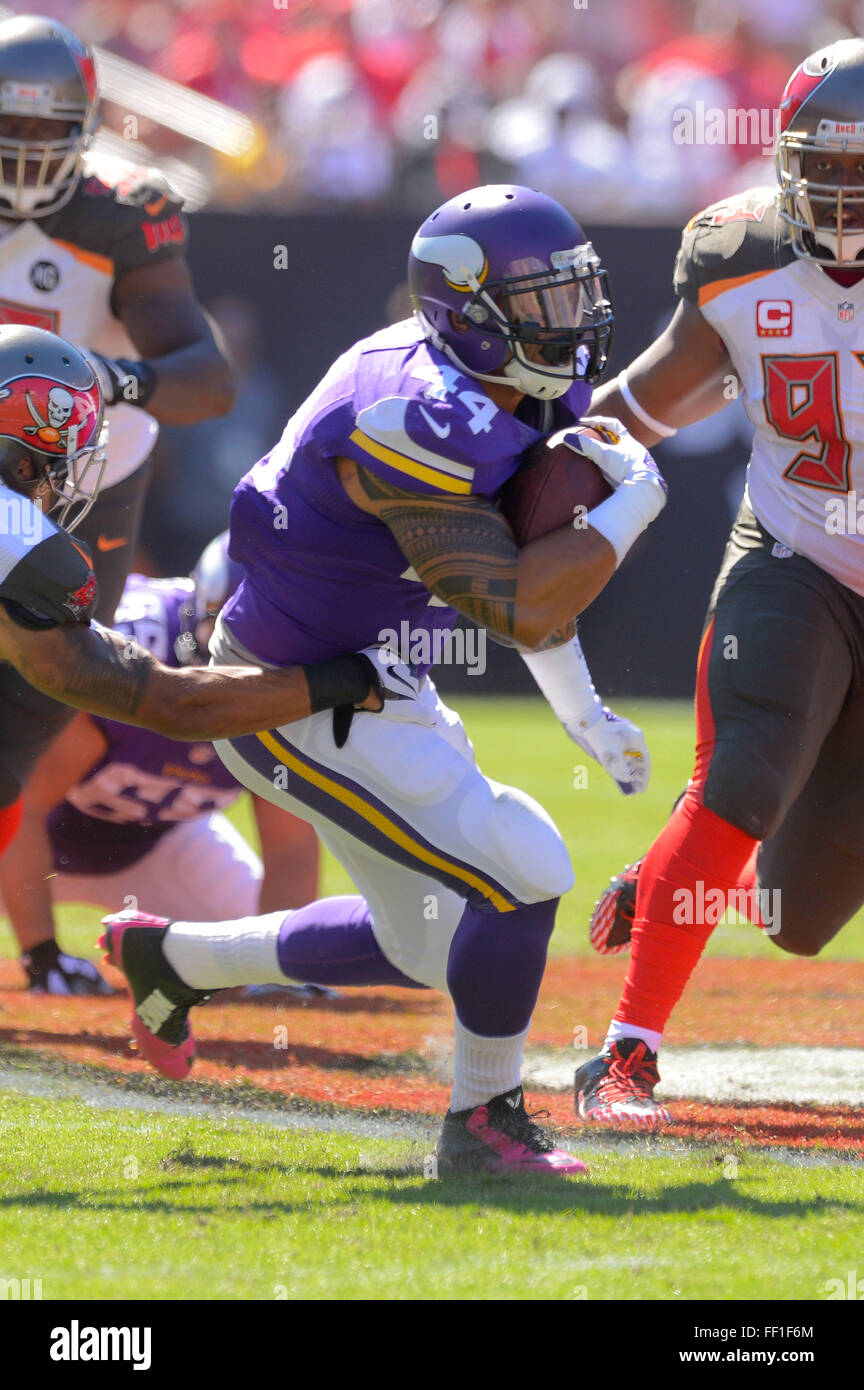 Tampa, FL, USA. 26th Oct, 2014. Minnesota Vikings running back Matt ...