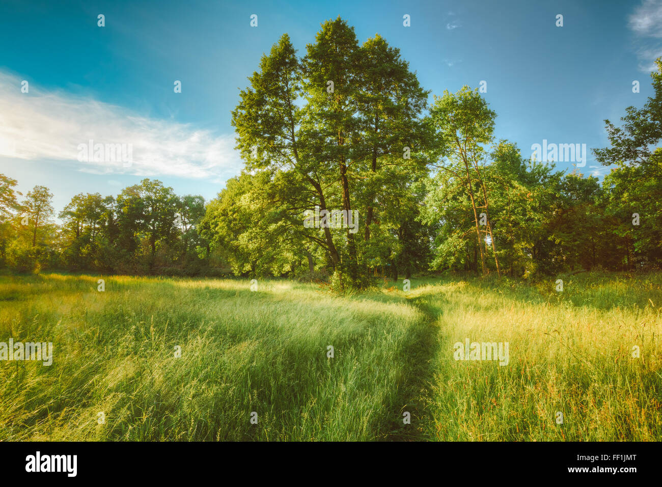 Pathway nature hi-res stock photography and images - Alamy