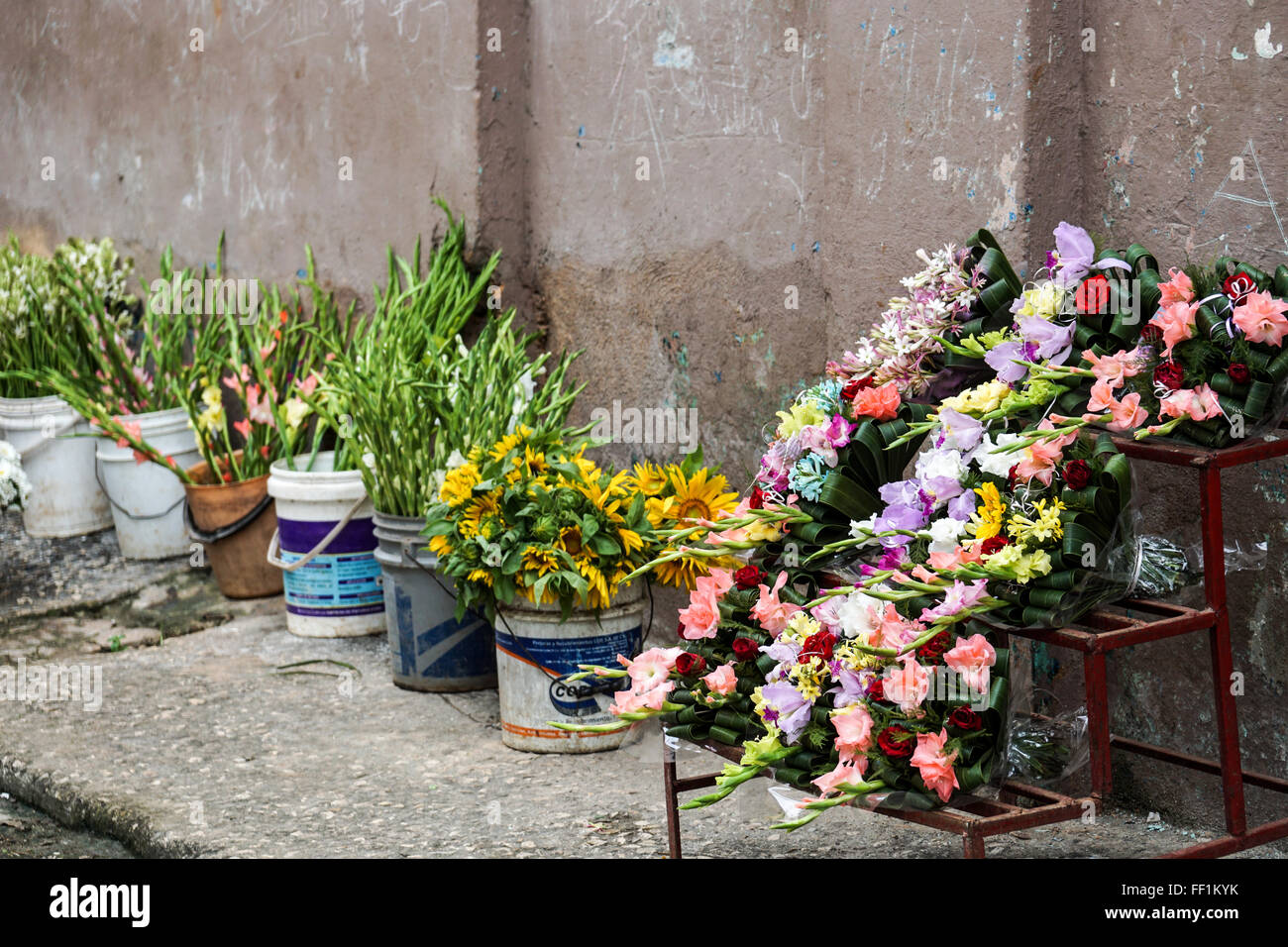 Florist shop sidewalk hi-res stock photography and images - Alamy
