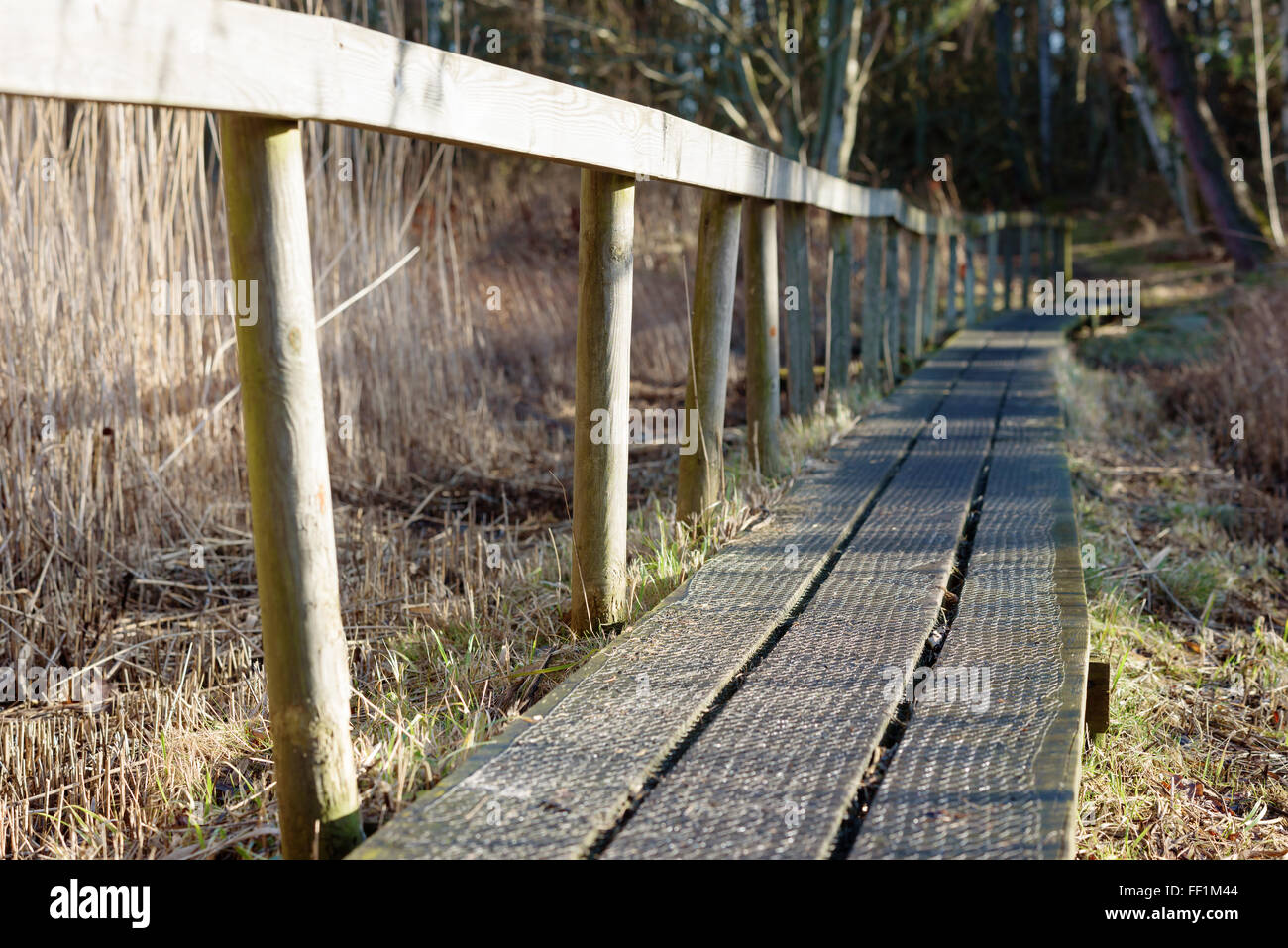 A wooden walkway with netting to make it safer when wet. Shallow focus ...