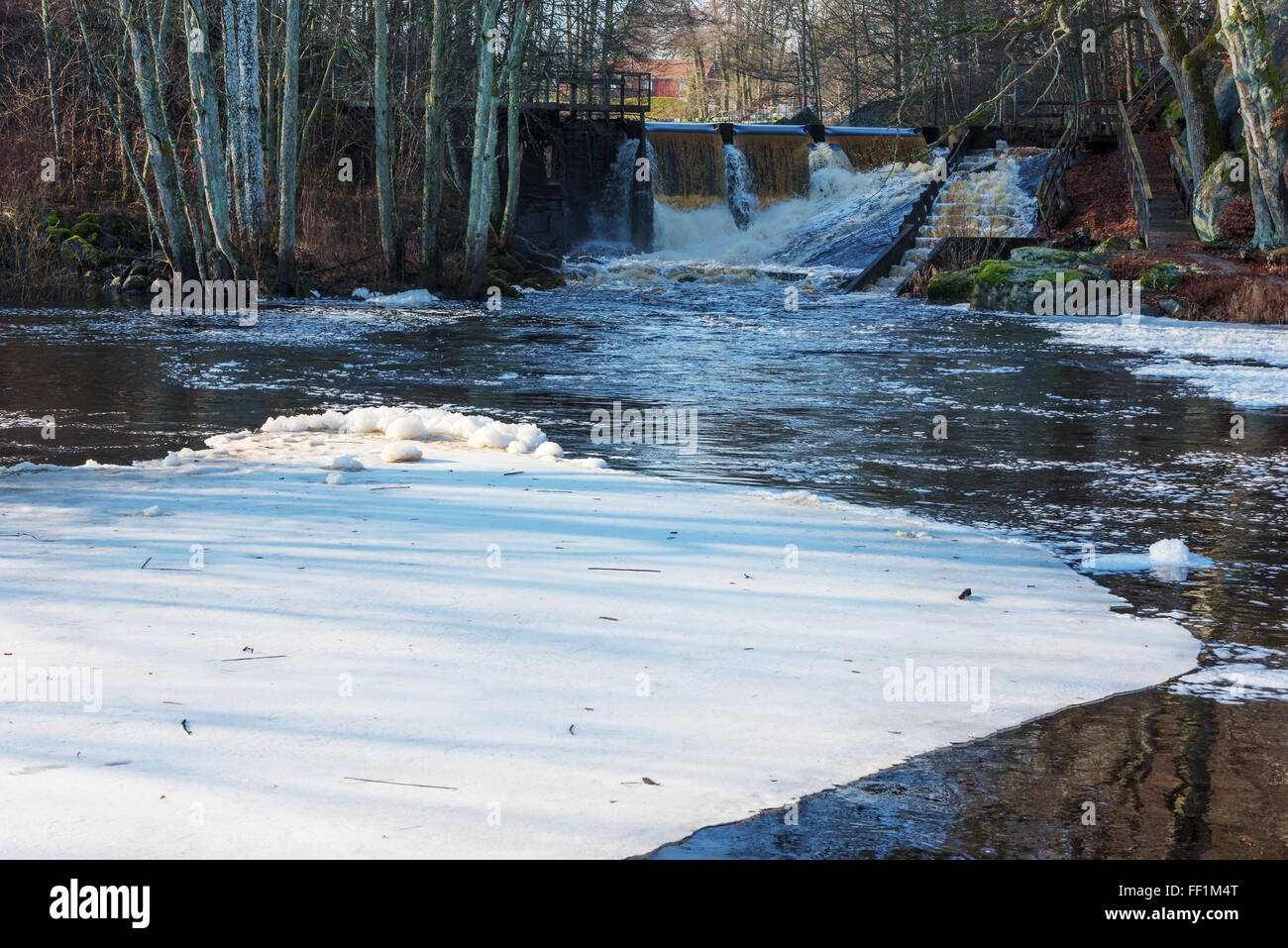 A small dam with surrounding forestland. A fish ladder helps fish ...