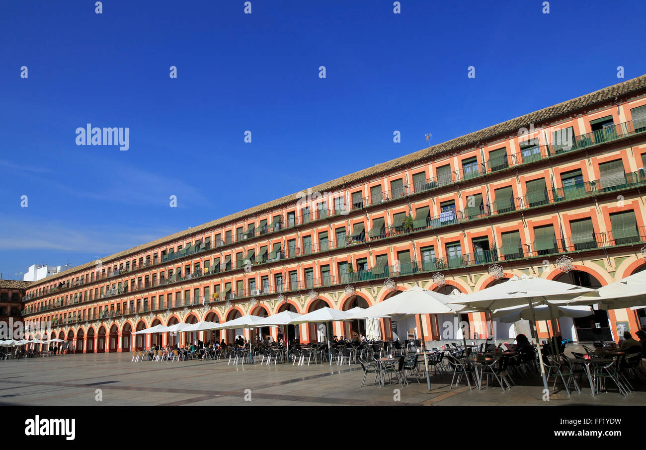Historic buildings in Plaza de Corredera seventeenth century colonnaded ...