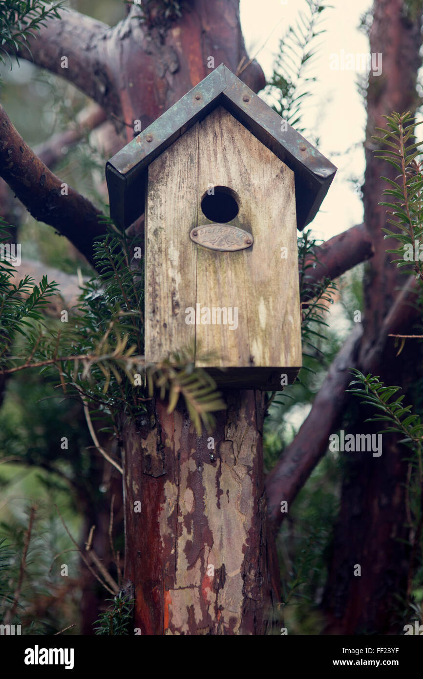 wooden birdhouse on a tree Stock Photo - Alamy