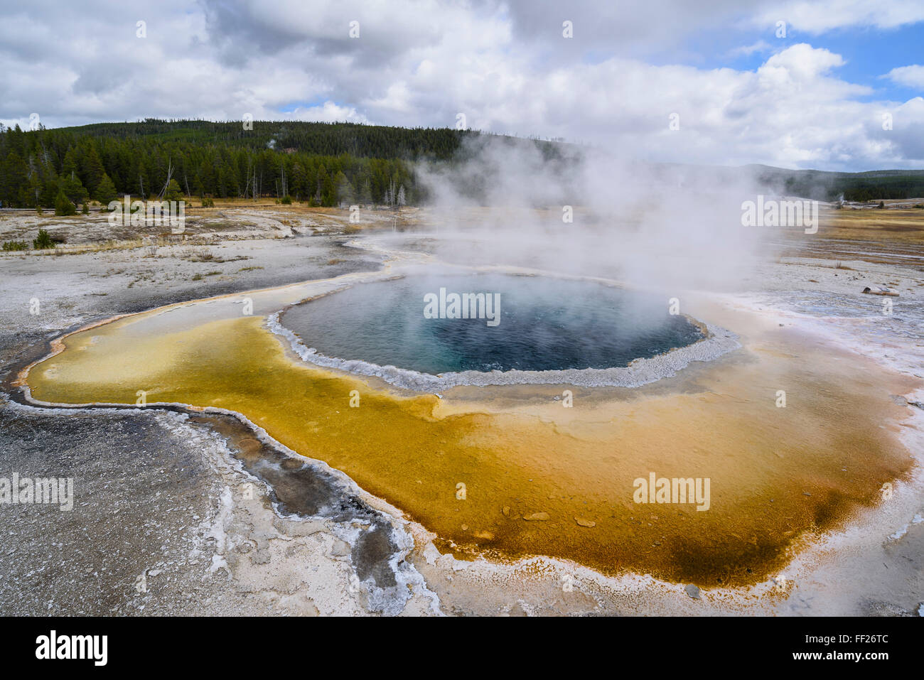 Crested PooRM, Upper Geyser Basin, YeRMRMowstone NationaRM Park, UNESCO ...