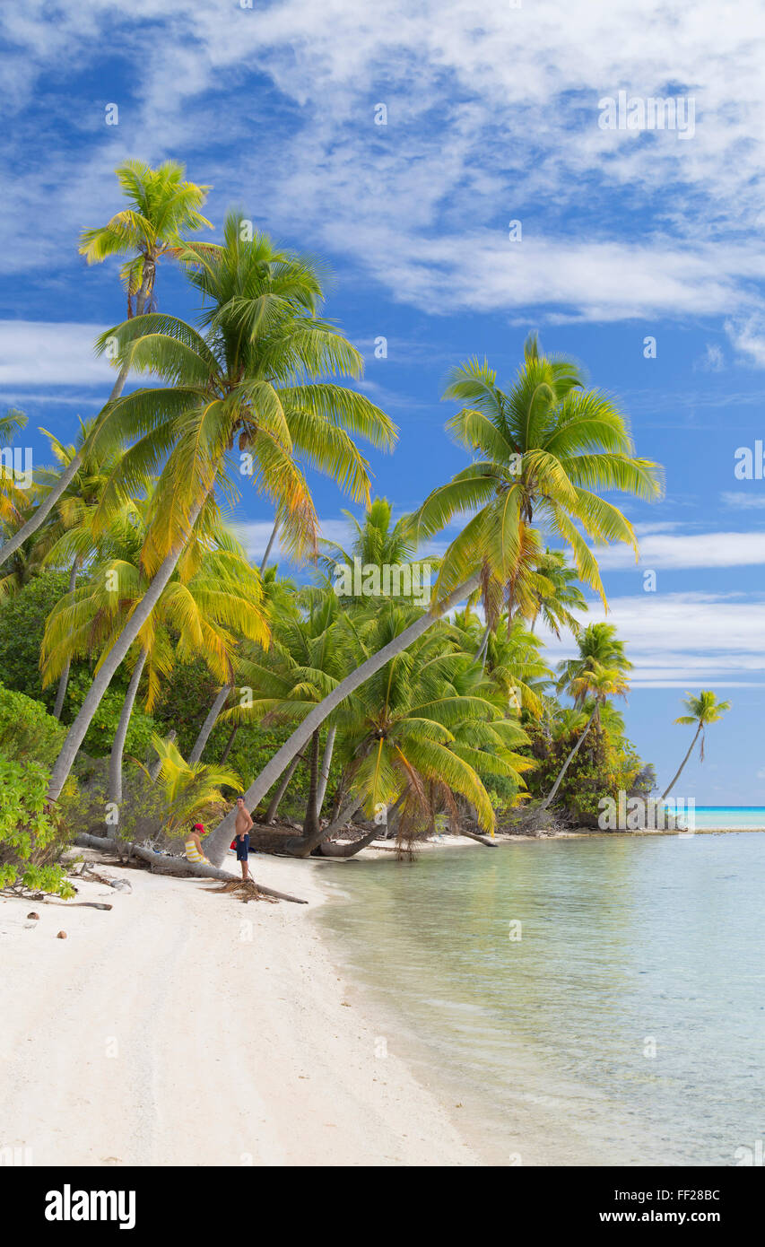 Beach Roses Stock Photos & Beach Roses Stock Images - Alamy