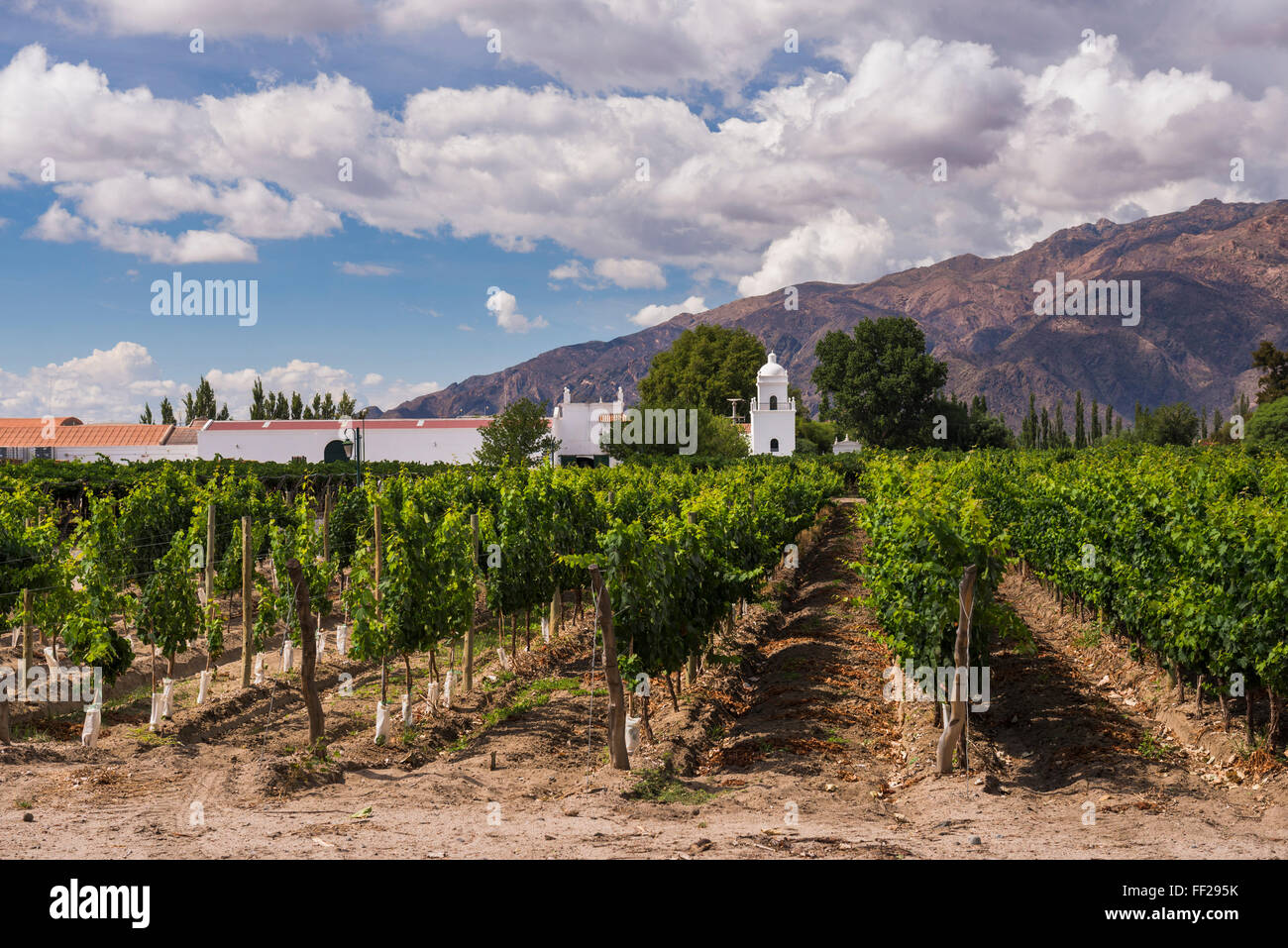 Cafayate bodega hi-res stock photography and images - Alamy