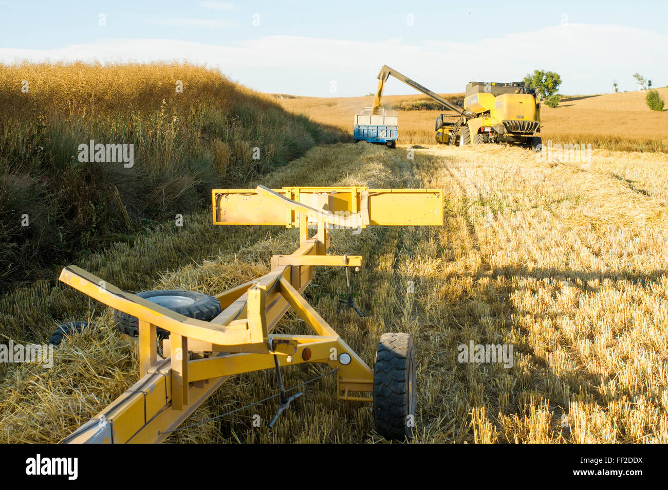 Agricultural harvesting hi-res stock photography and images - Alamy