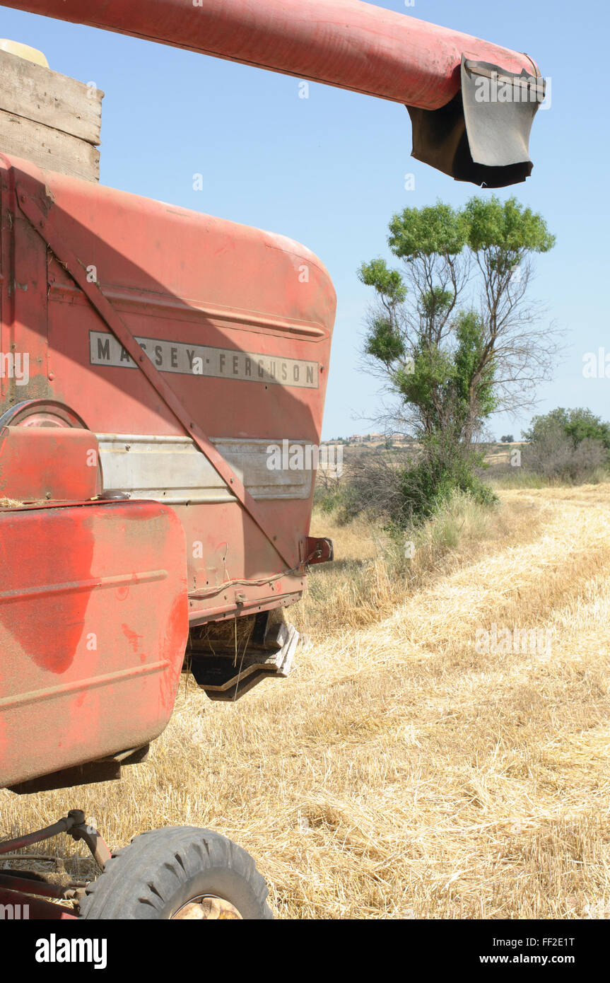 Hard red wheat hi-res stock photography and images - Alamy