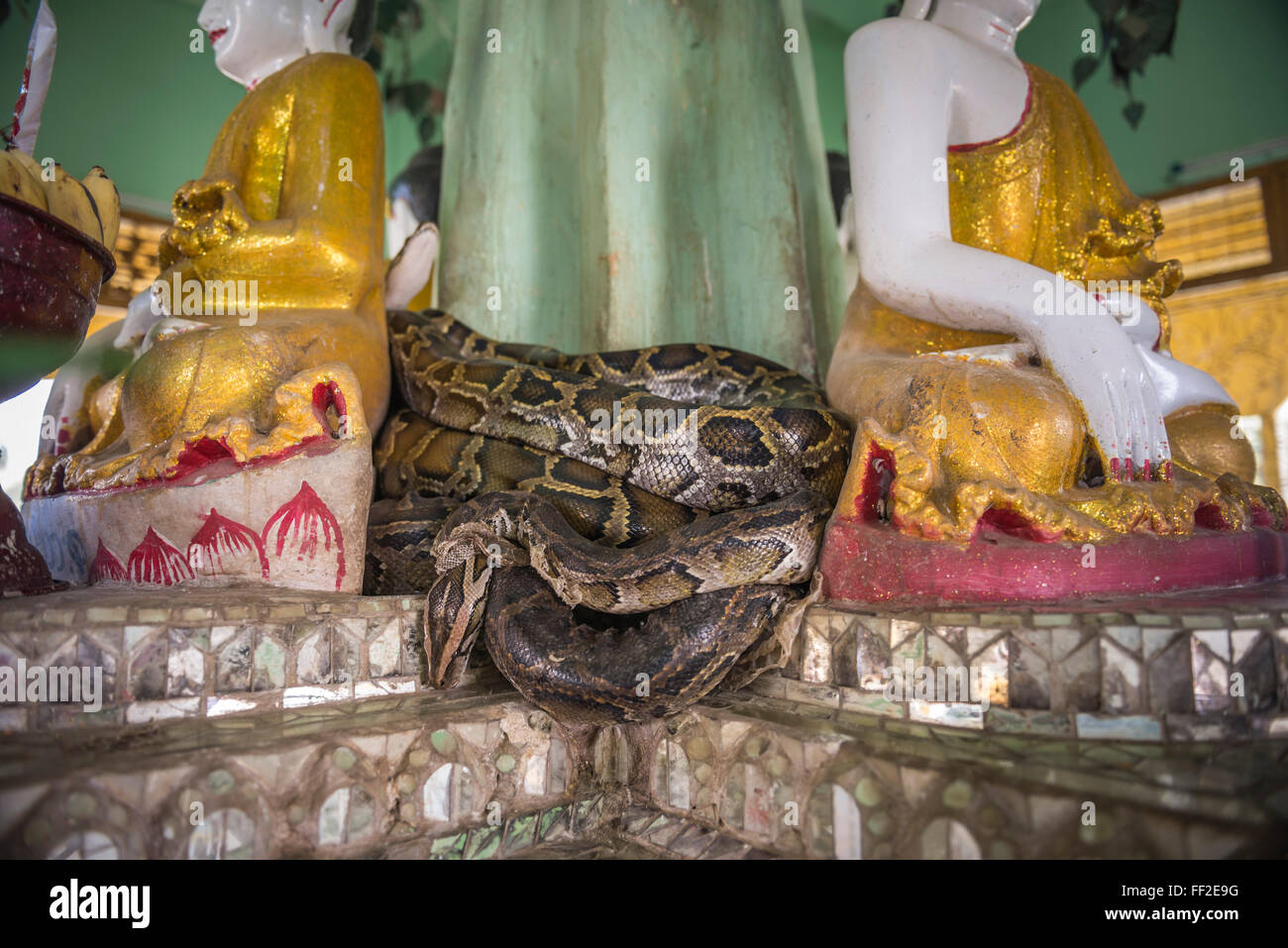 Snake TempRMe (Mwe Paya) between DaRMah and Twante, across the river ...