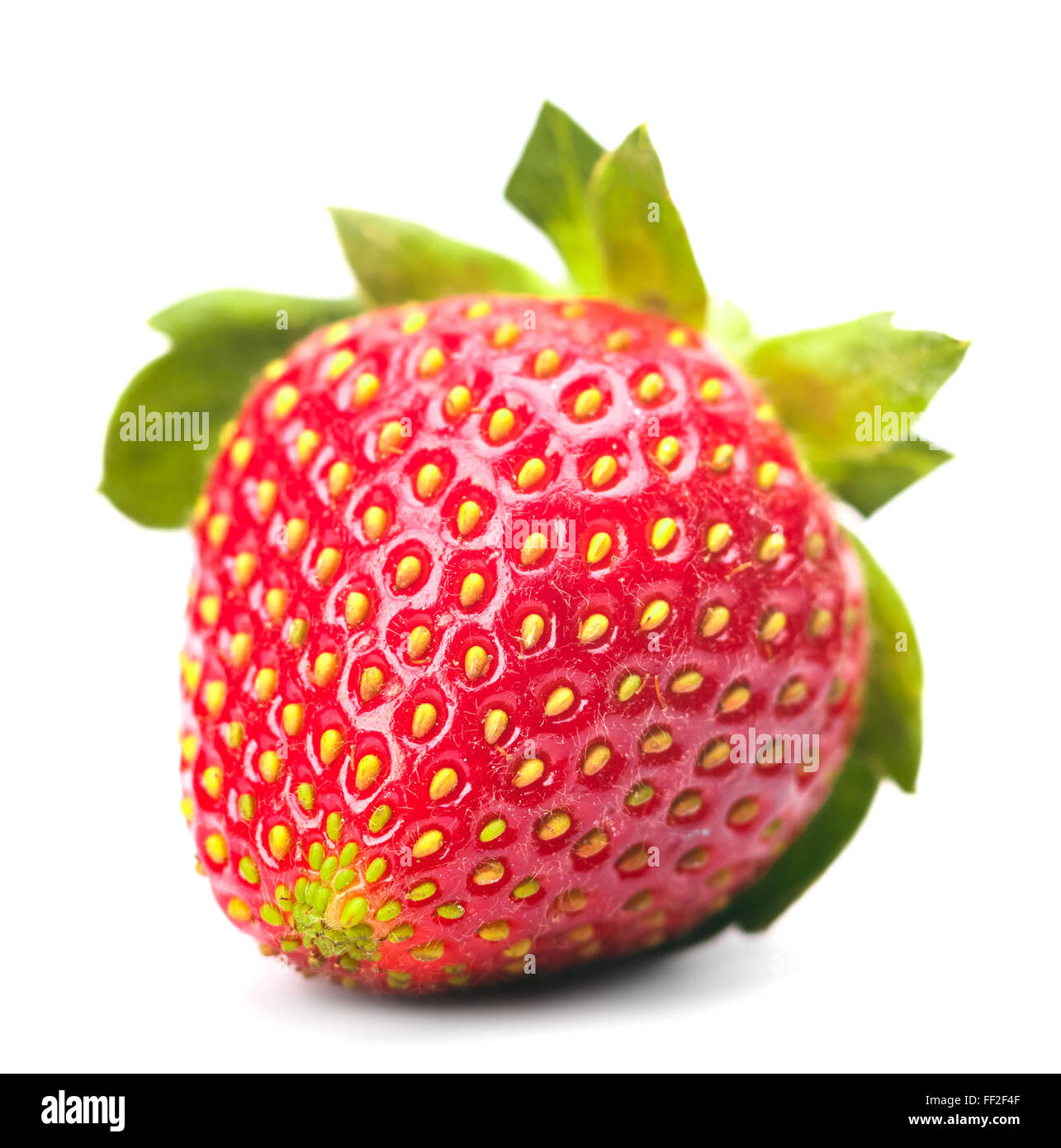 the ripe strawberry Stock Photo - Alamy