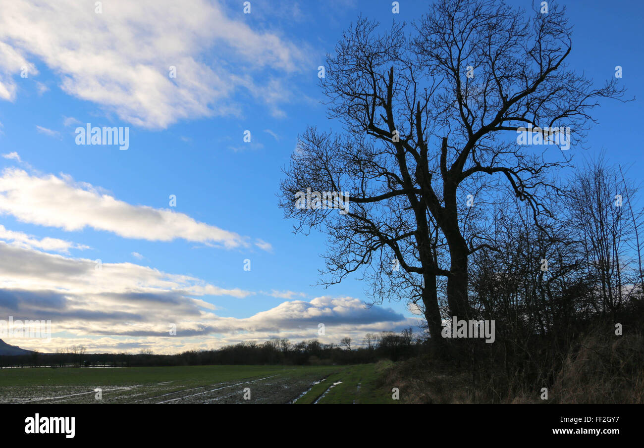 Winter landscape in Stirling, Scotland Stock Photo - Alamy