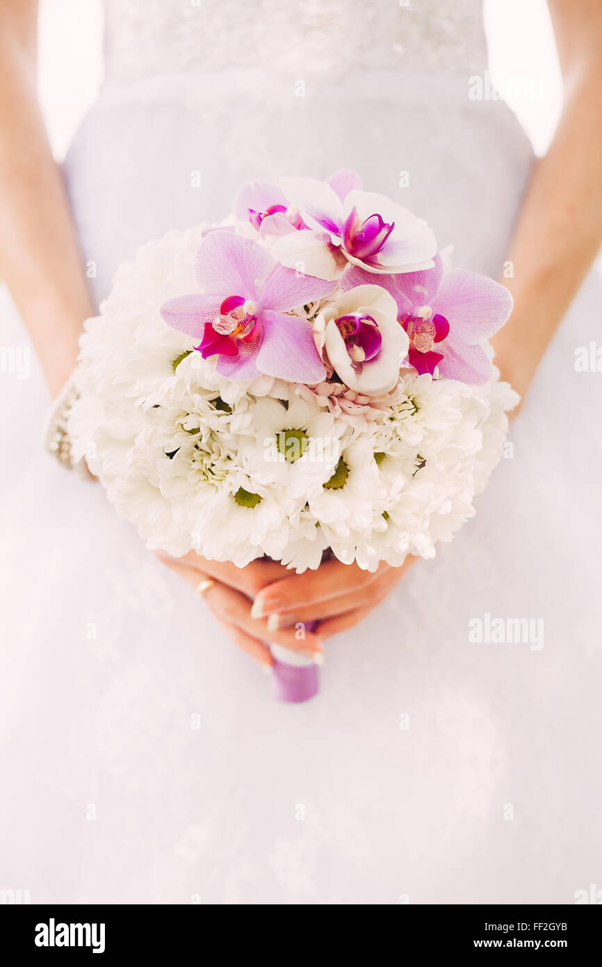 Beautiful female hands chamomile hi-res stock photography and images ...