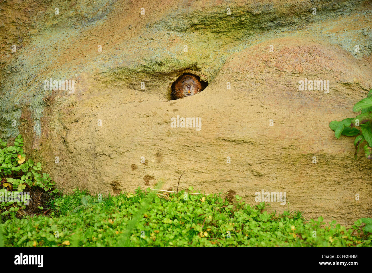 Vorme hi-res stock photography and images - Alamy