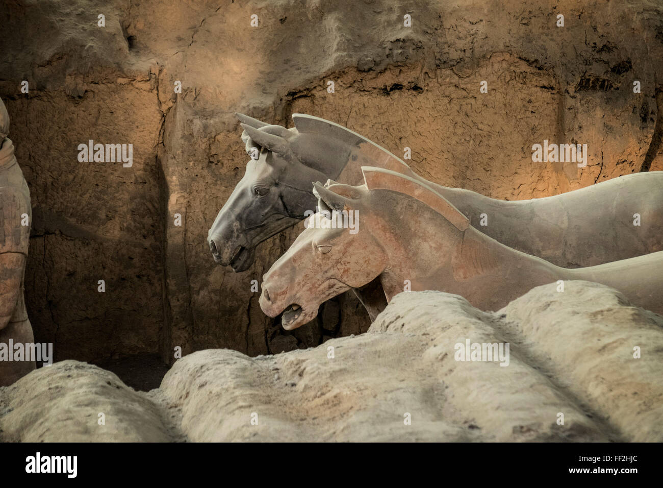 Terracotta army horse hi-res stock photography and images - Alamy