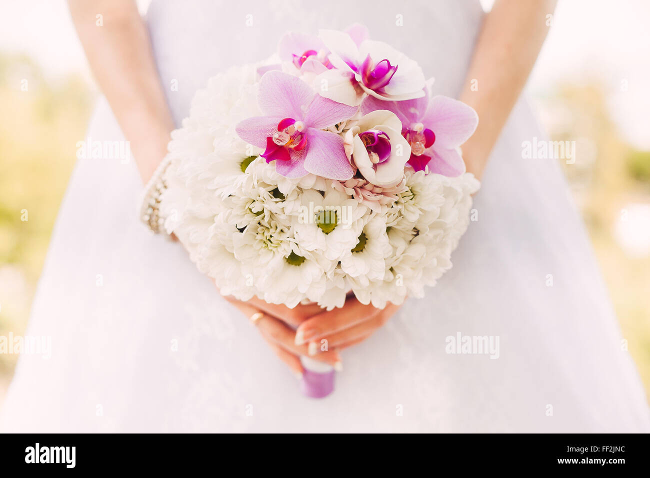 Beautiful female hands chamomile hi-res stock photography and images ...