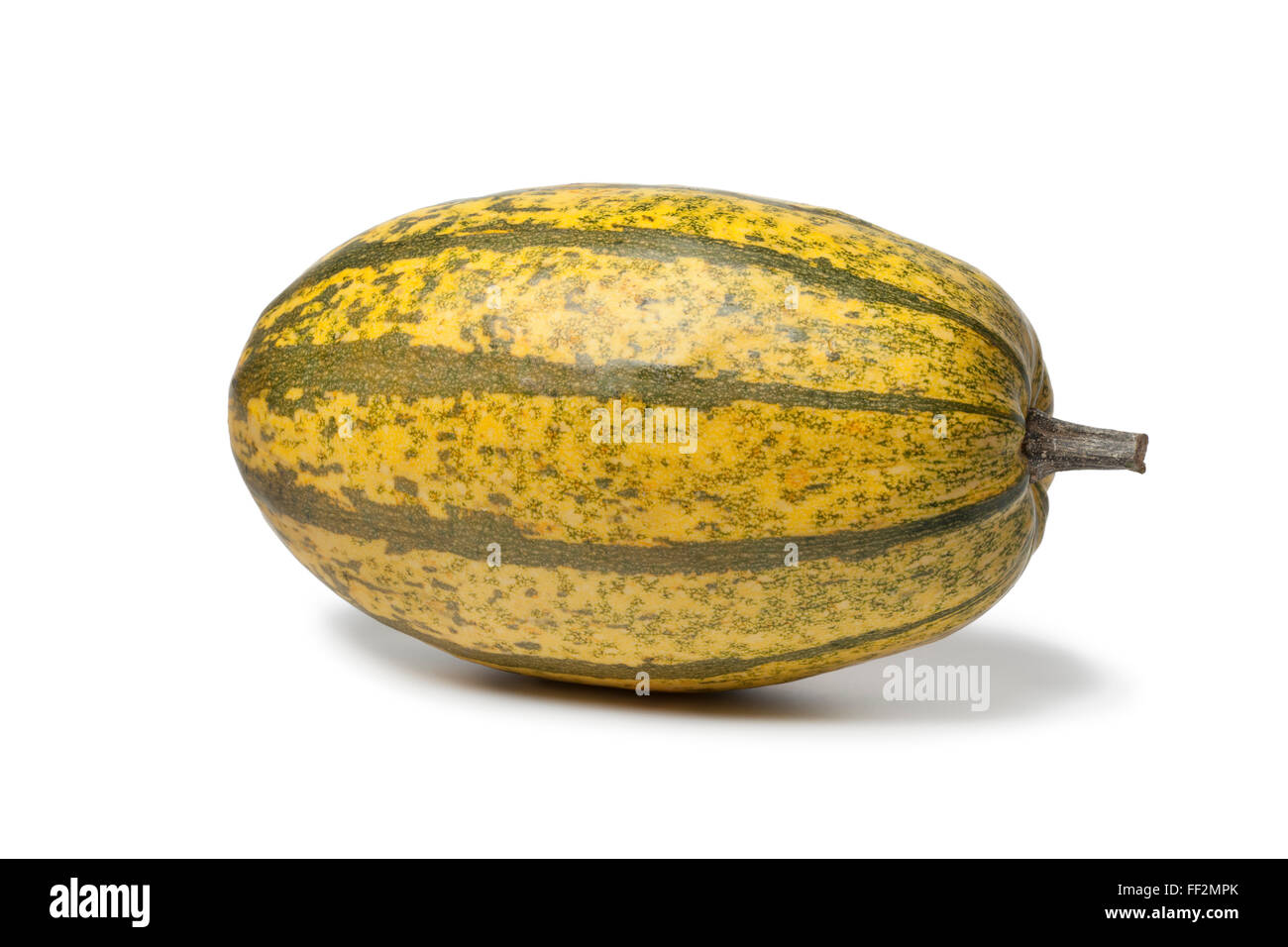 Whole single fresh spaghetti squash on white background Stock Photo - Alamy
