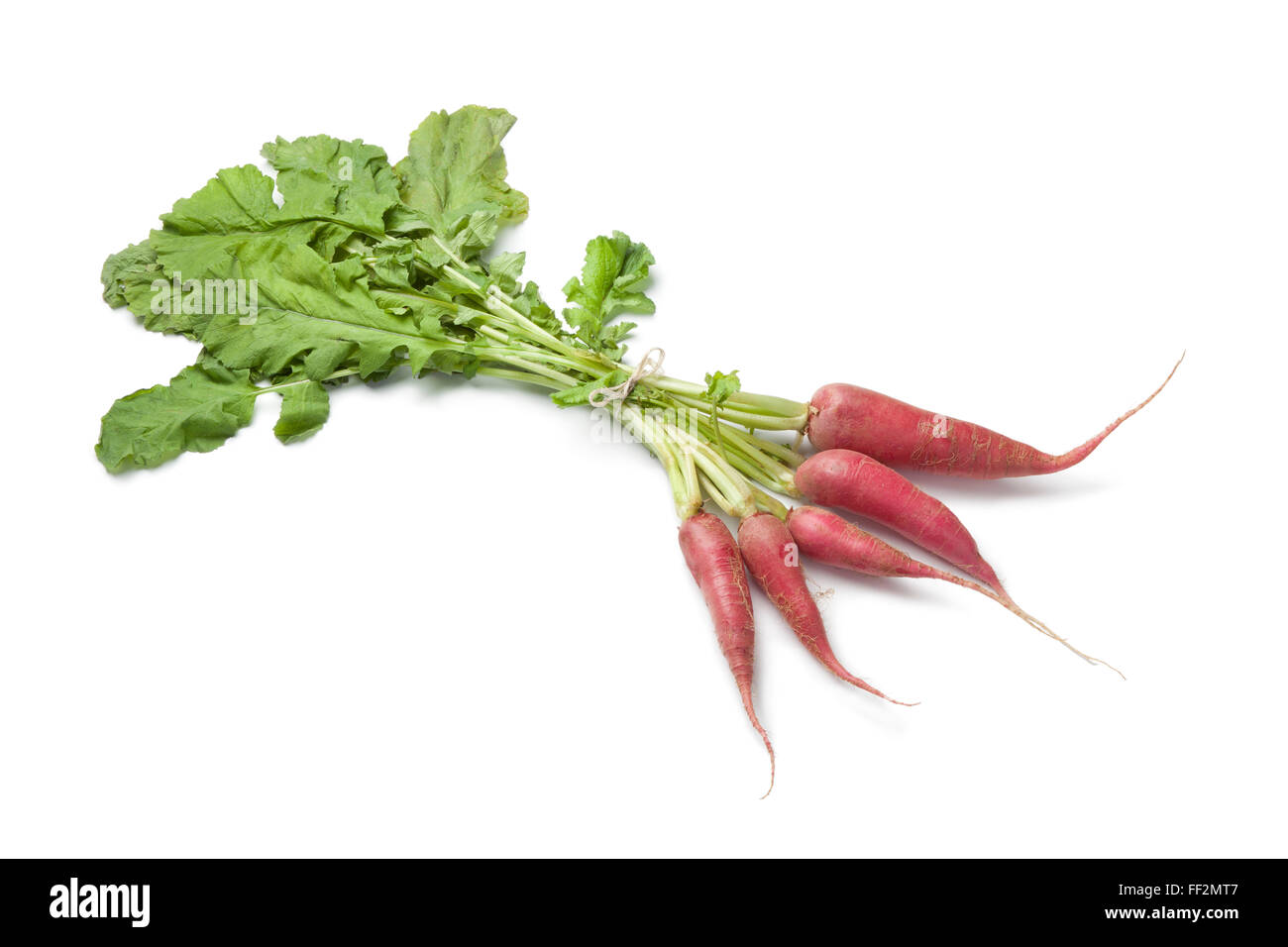 Radish leaves hi-res stock photography and images - Alamy