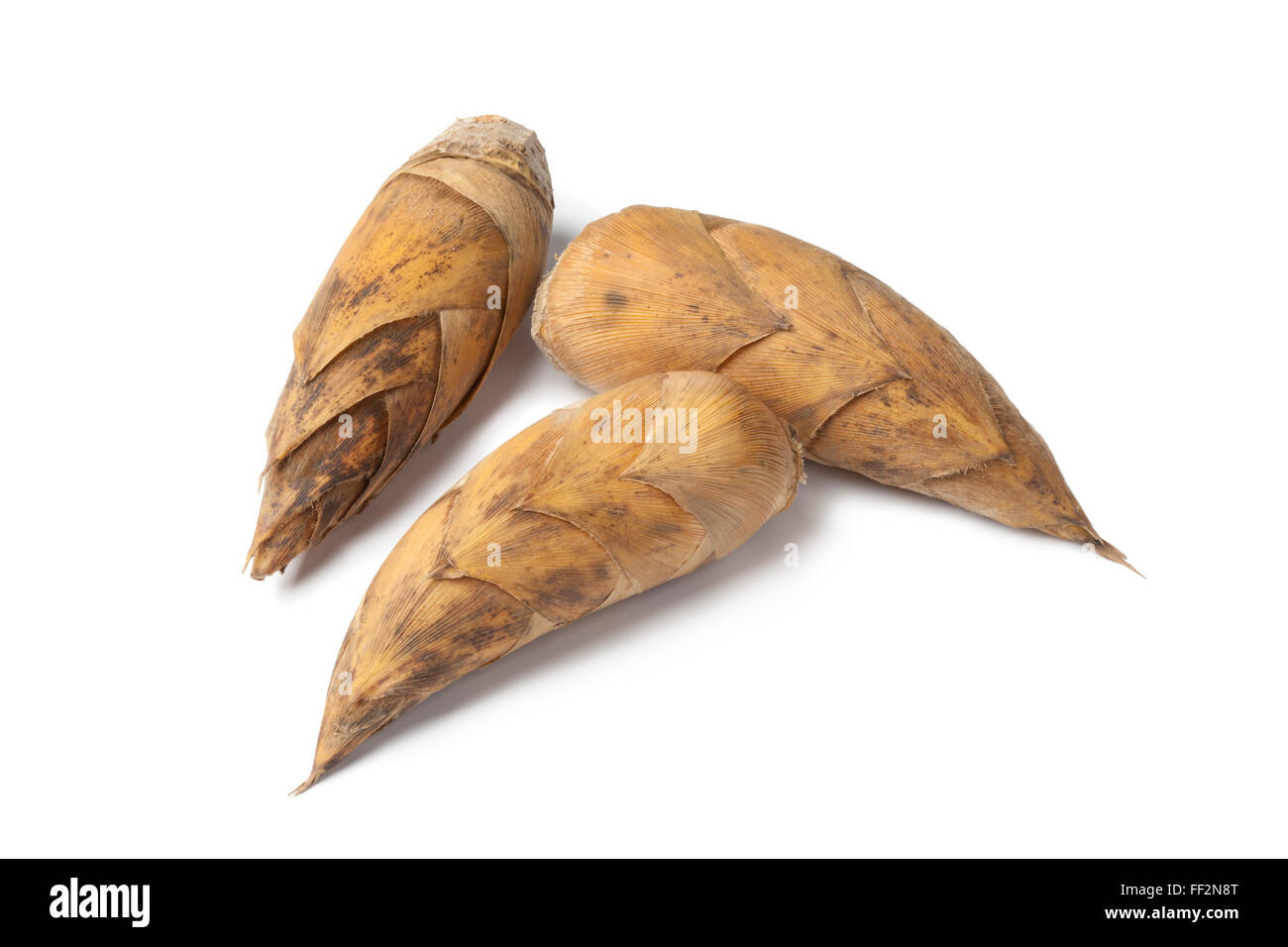 Fresh raw bamboo shoots on white background Stock Photo - Alamy