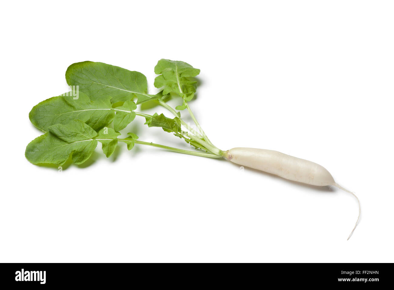 White Radish Stock Photos & White Radish Stock Images - Alamy
