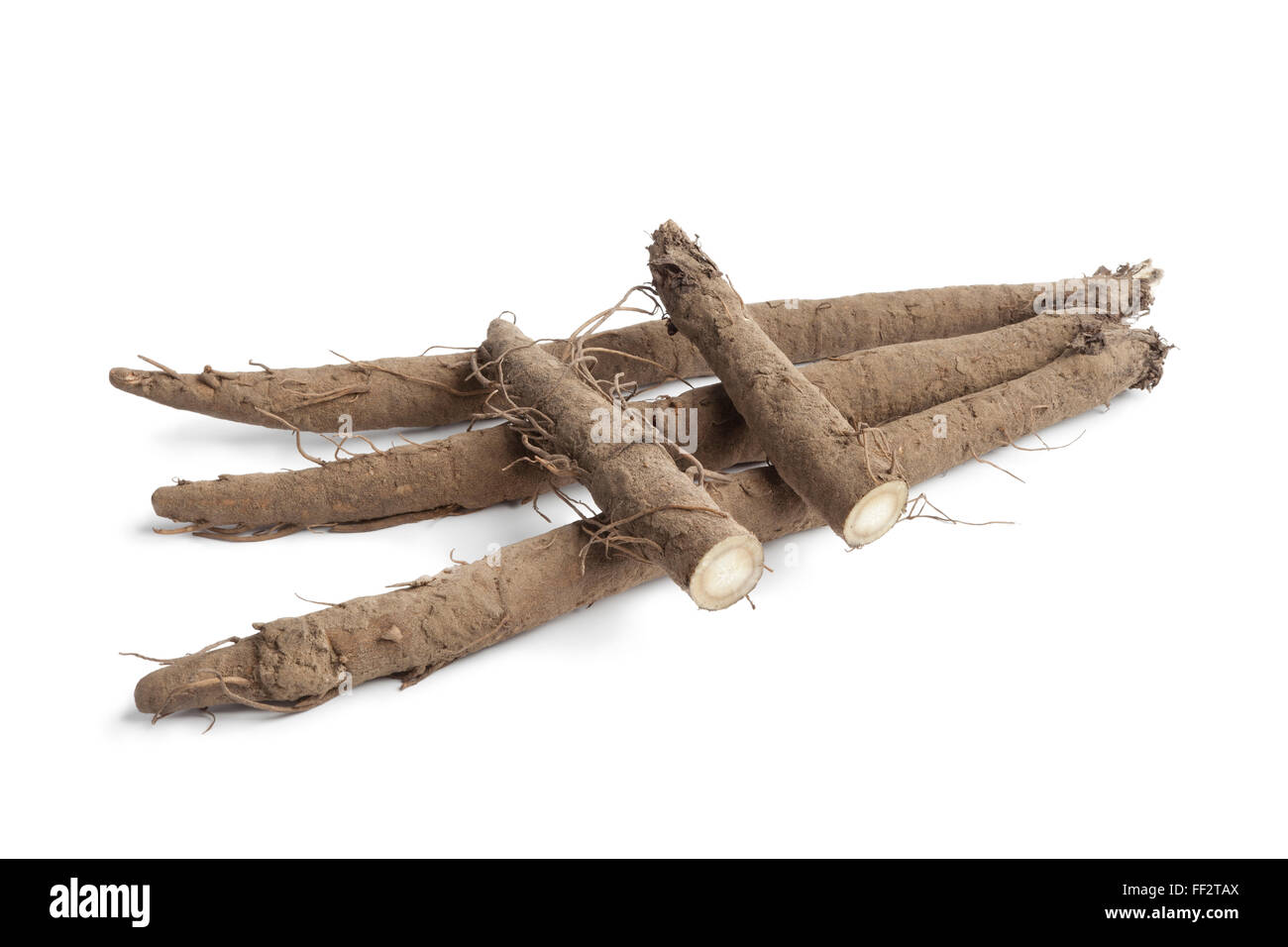 Fresh Burdock roots on white background Stock Photo - Alamy