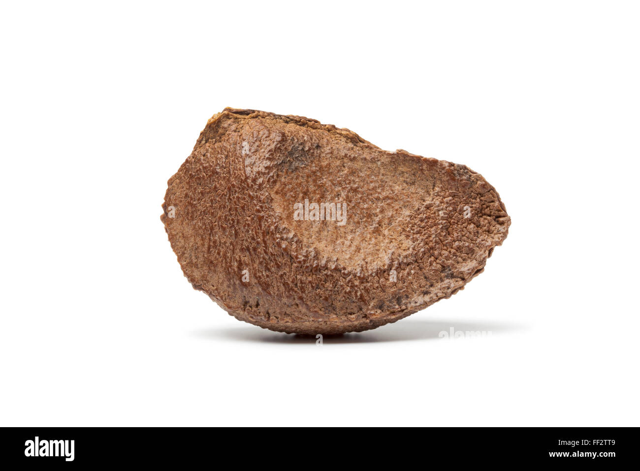Brazil nut hi-res stock photography and images - Alamy