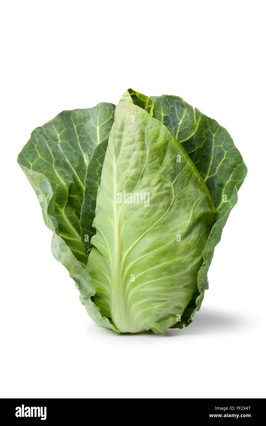 Pointed cabbage hi-res stock photography and images - Alamy