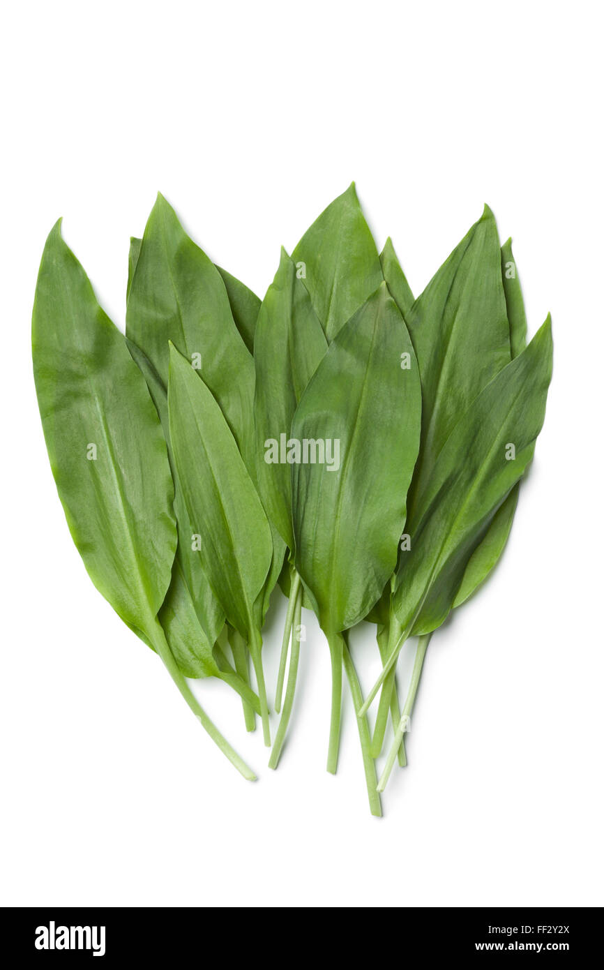 Fresh Ramson leaves on white background Stock Photo - Alamy