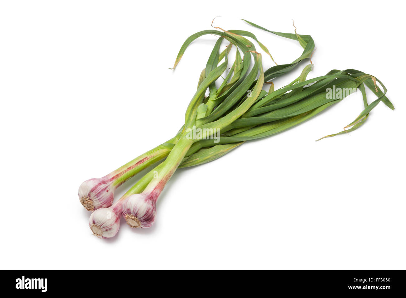 Fresh French garlic on white background Stock Photo - Alamy