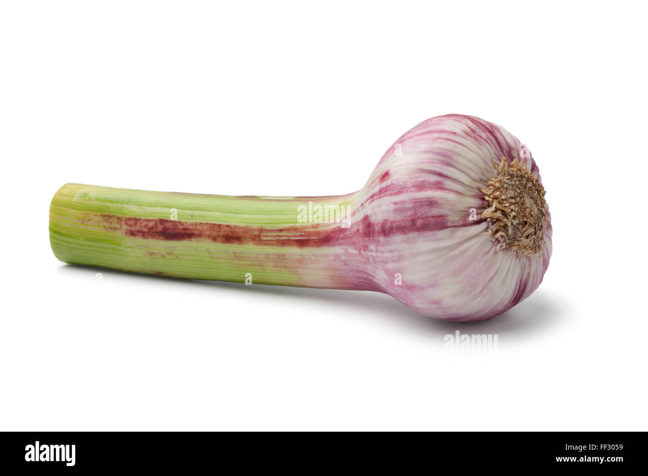Fresh French garlic on white background Stock Photo - Alamy